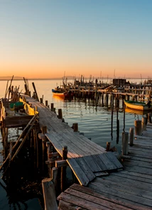 Comporta Portugal Real Estate: Torre | Terras da Comporta
