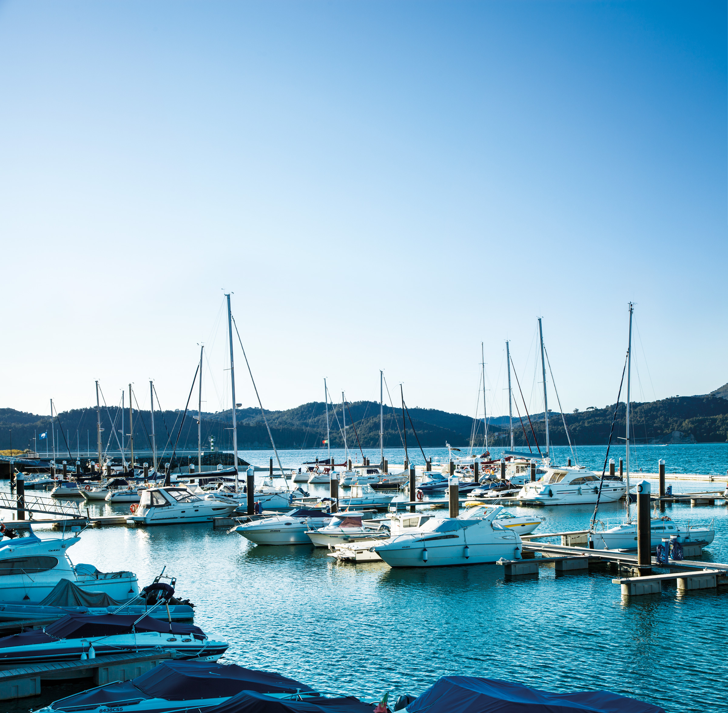 Terras da Comporta: Eco Friendly Real Estate